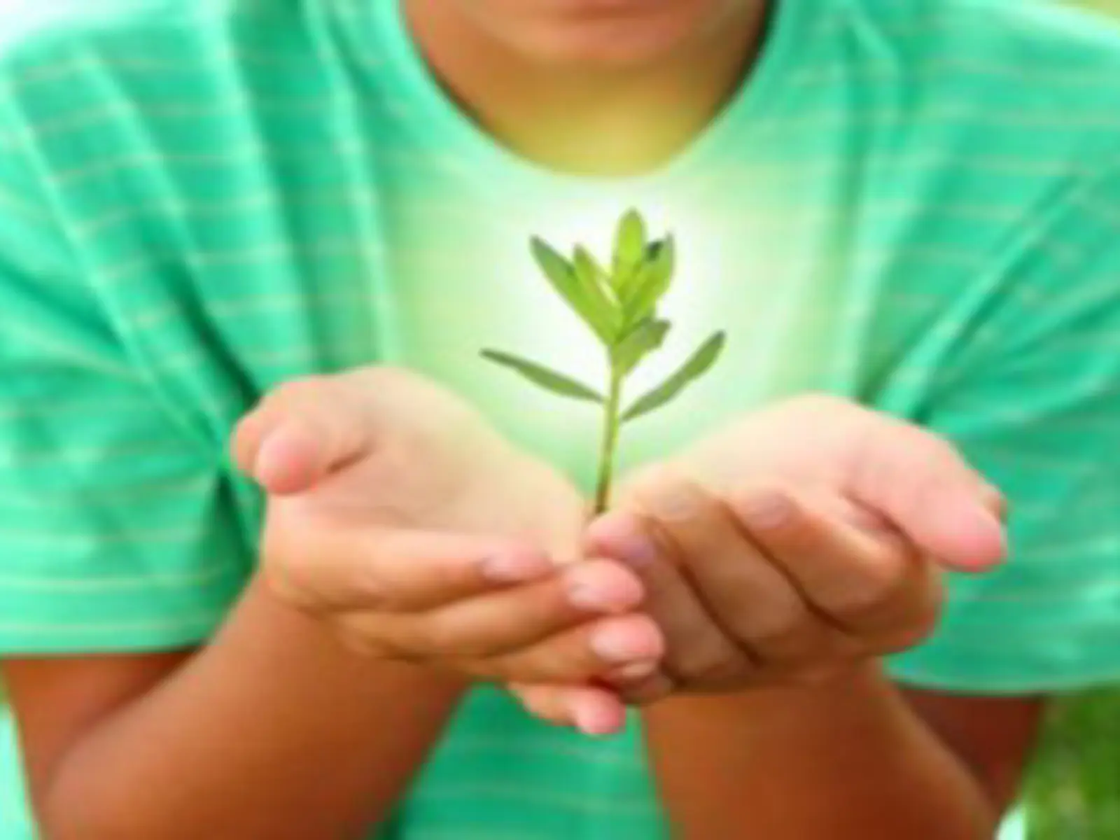 Parent Corner | KPRDSB